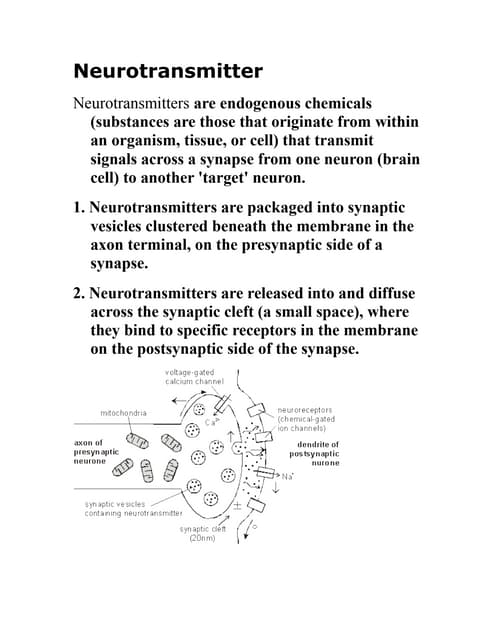Neuromodulation | PPT