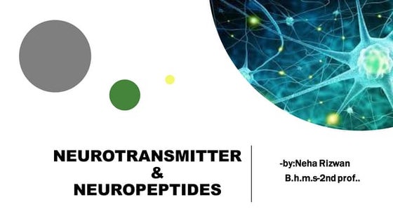 NEUROTRANSMITTER.pdf