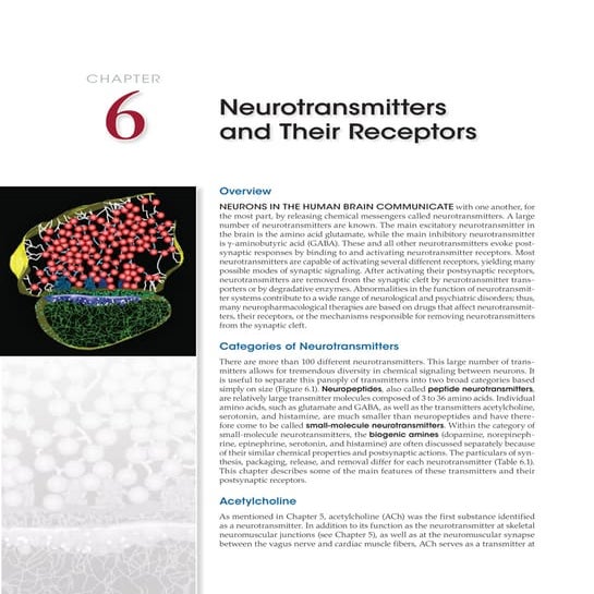 Neurotransmitters and their receptors - Dale Purves et al. (eds.) - Neuroscience (2018, Sinauer ...