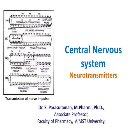 Neurotransmitters in CNS | PPTX