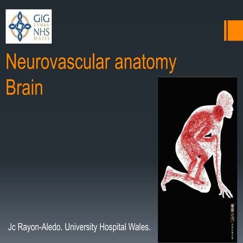 Neurovascular anatomy | PPTX