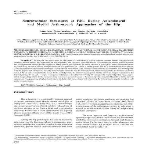Third Head of Biceps Brachii (Caput Accessorium) | PDF