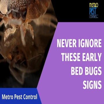 Never Ignore These Early Bed Bugs Signs - Metro Pest Control | PDF