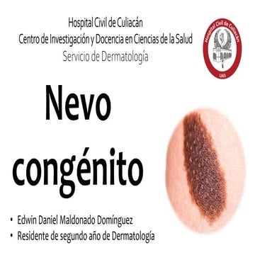 Anatomía Facial | PPTX
