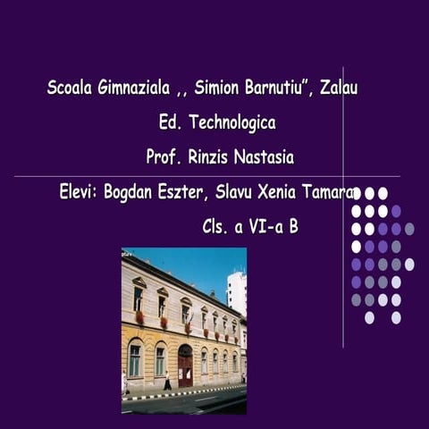 Nevoi si dorinte | PPT