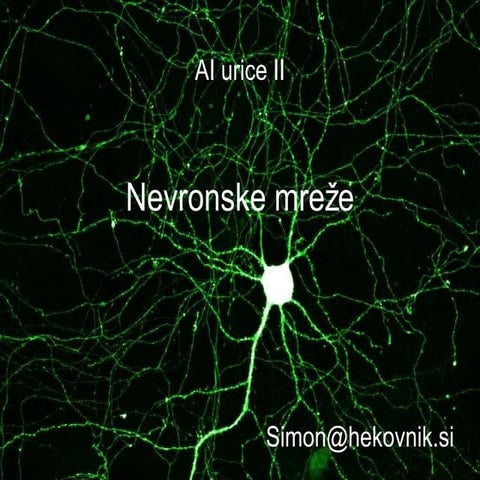 Nevronske mreže | PPT