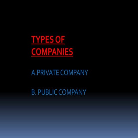 Types of companies (2).pptx