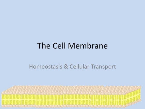 Cellular transport | PPT | Chemistry | Science