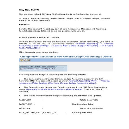 Document splitting in New GL in SAP | PDF