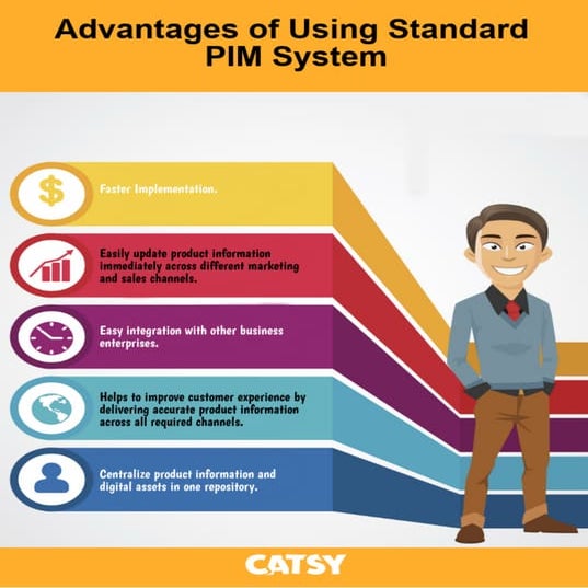 Advantages of Using Standard PIM System | PDF