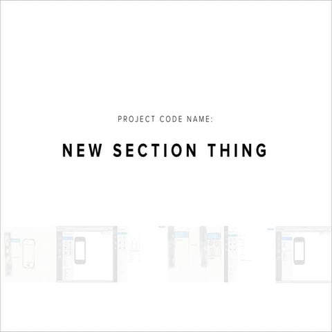 New Section Presentation | PDF