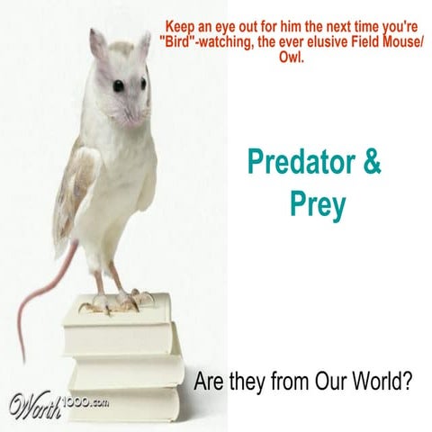 New Species | PPS
