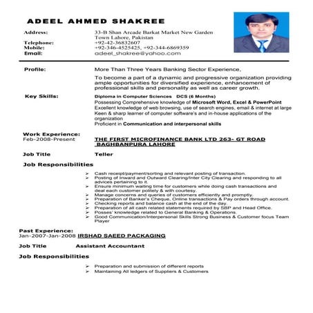 Cv Adeel Shakree | PDF