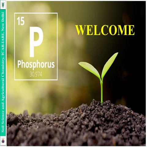 New Approaches for Enhancing Phosphorus Use Efficiency (PUE).pdf