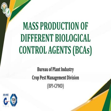 New BCAs 2023 (1).pptx