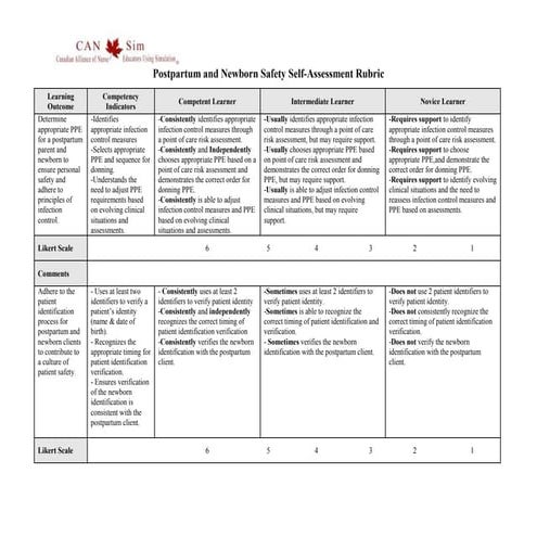 Newborn Assessment Rubric | DOCX