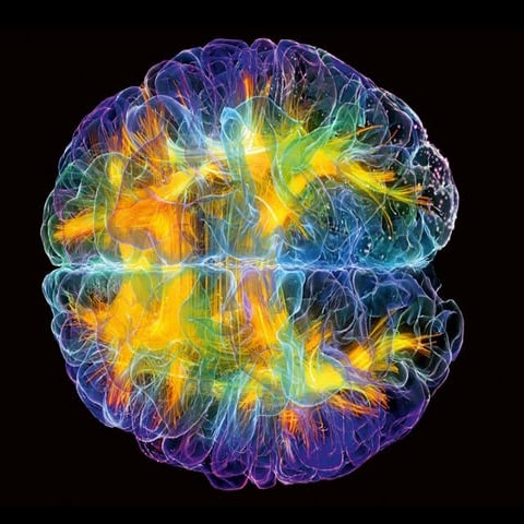 New Brain Slideshow 2018 | PPT