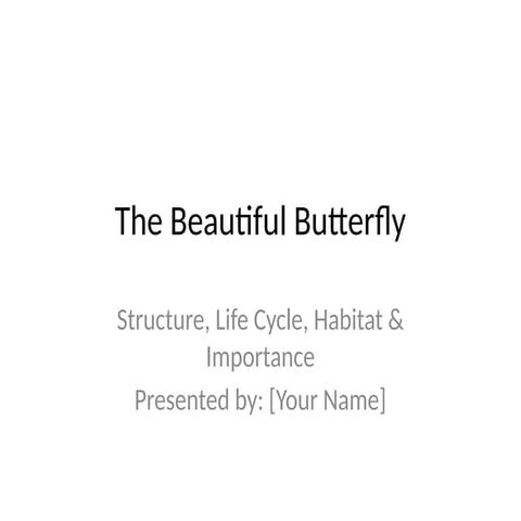 Easy New_Butterfly_Presentation for kids ppt | PPTX