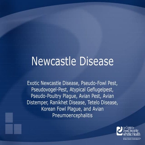 Newcastle disease | PPT