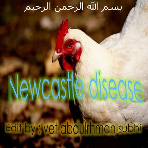 Newcastle disease | PPTX
