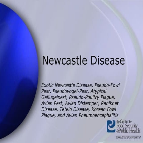Newcastle disease | PPT