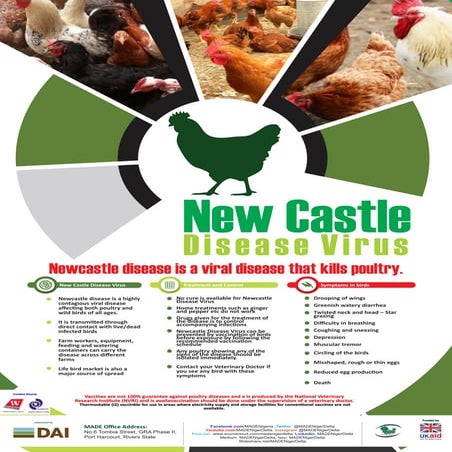 Understanding New castle disease | PDF