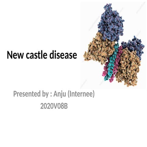 Newcastle_Disease_Detailed_Presentation.pptx