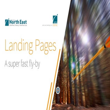 Newcastle word press meet up Feb 2019 landing pages | PDF