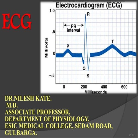 ELECTROCARDIOGRAM BASIC | PPTX