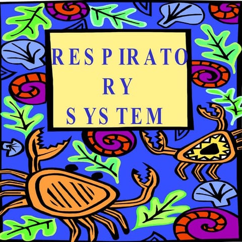 New Edition Respi 102 | PPT