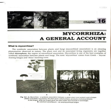 New Folder (2)_20231202.pdf