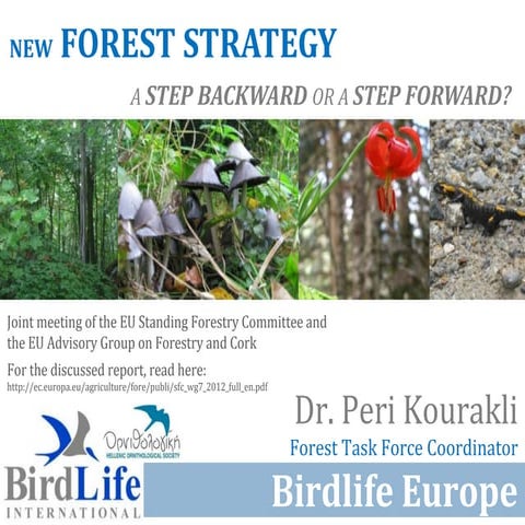 New forest strategy | PPT