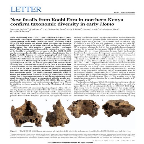 New fossils from koobi fora in northern kenya confirm taxonomic ...