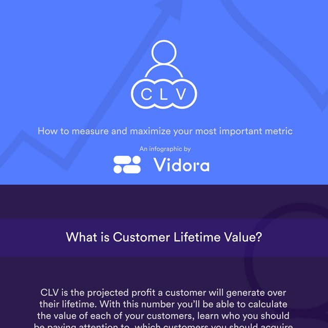Taking A Closer Look At CLV | PDF