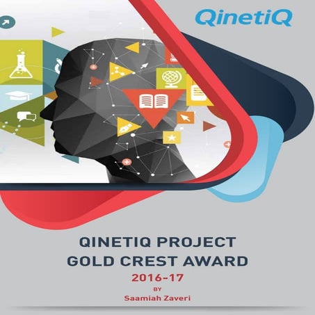 QinetiQ Project | PDF