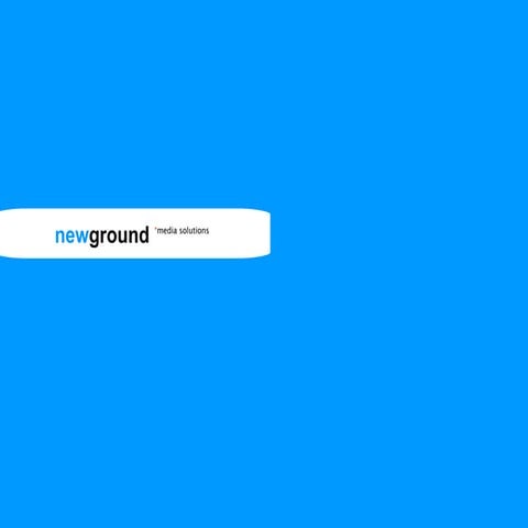 NewGround: company's profile | PPT