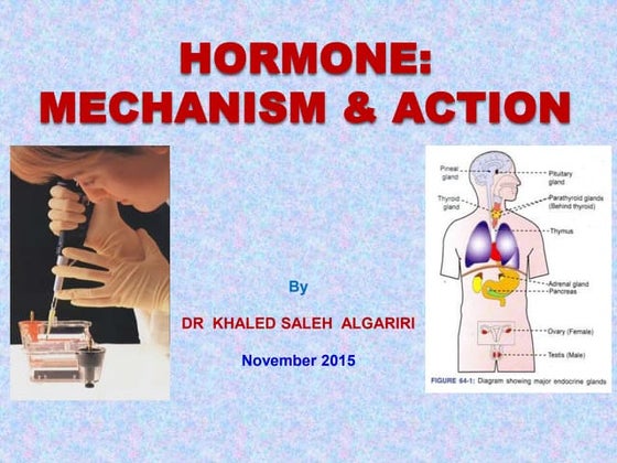Mechanism & action hormone | PPTX | Endocrine and Metabolic Diseases ...