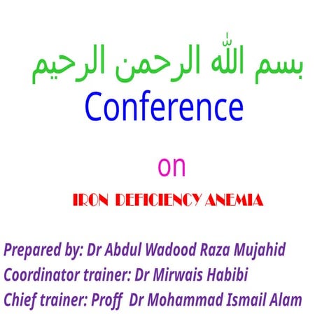 New IDA.pptx Iron die includes neuer slide | PPTX