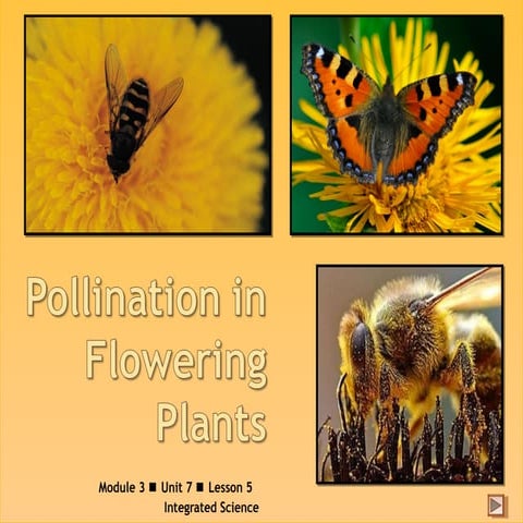 Integrated Science M3 Pollination | PPT