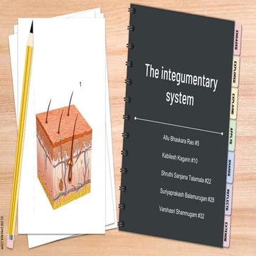 Nursing Integumentary System & Disorders.ppt