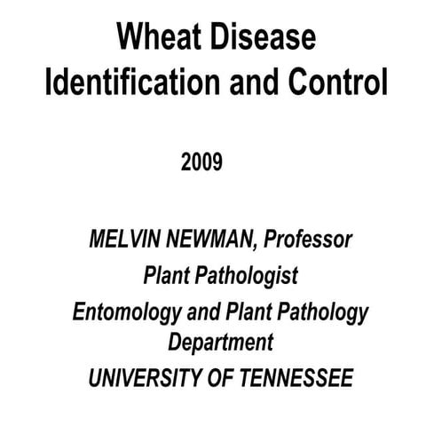 wheat diseases | PDF