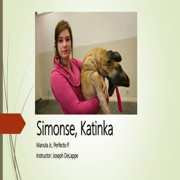 Simonse, Katinka - New Media Artist | PPT