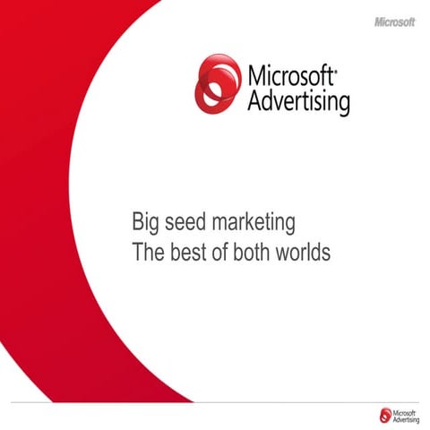 Big seed marketing | PPT
