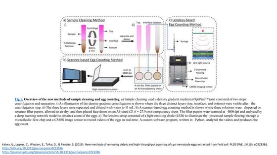 Extended Gate MOSFET CMOS Transistor | PPT
