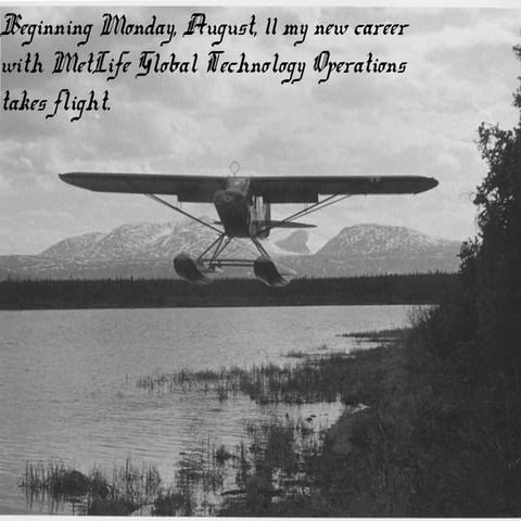 My New Metlife Job | PPT