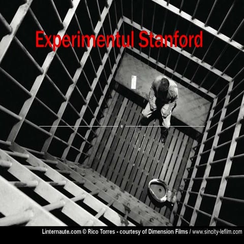 Experimentul Stanford:::... Raluca Manea | PPTX