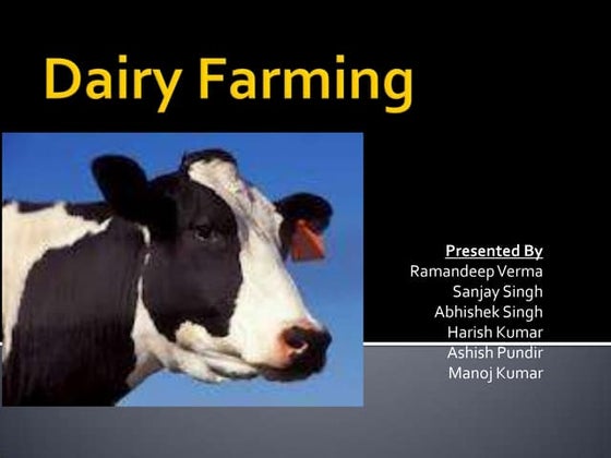 Presentation on SARAS DAIRY | PPTX | Agriculture | Industries