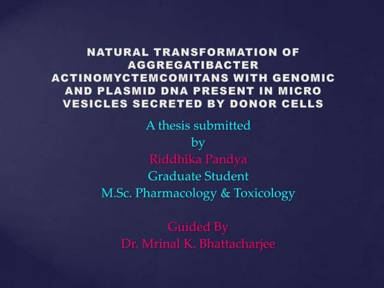 Msc Thesis - Presentation | PPT