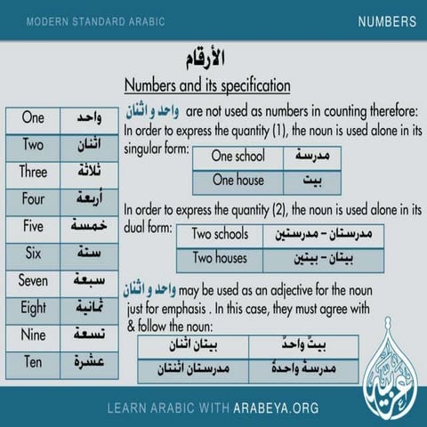 Numbers and its Specification in Modern Standard Arabic | PPTX