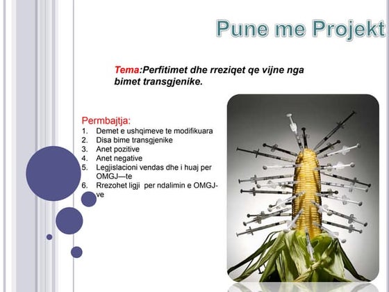 Ligjet e Mendelit | DOCX